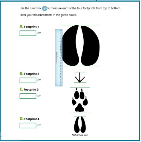 TIMSS 2027 – etarcfed